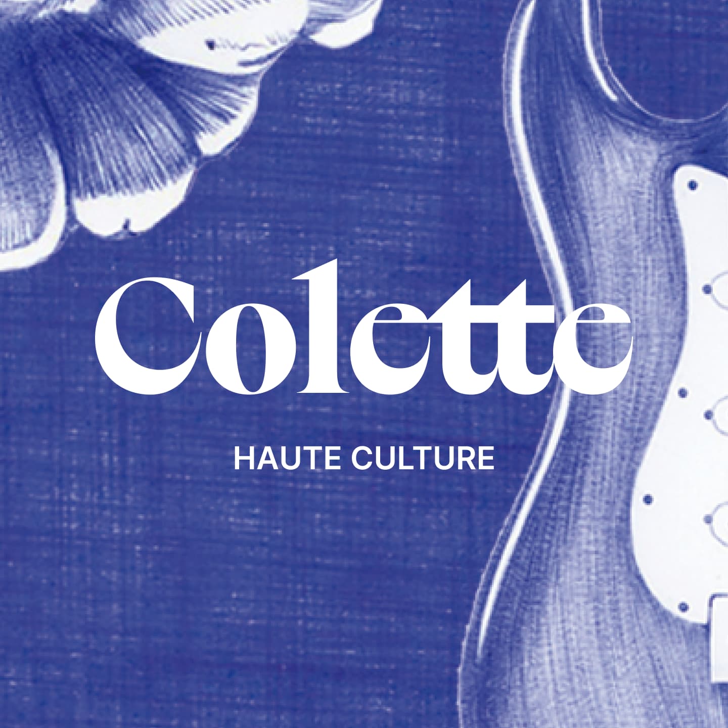 Studio Alvin — agence de graphisme et communication | Bruxelles